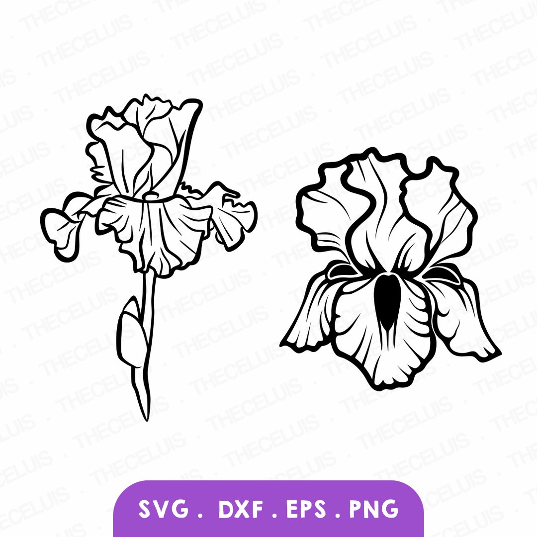 Iris Flower SVG PNG DXF Files: Floral Clipart for Cricut, Silhouette ...