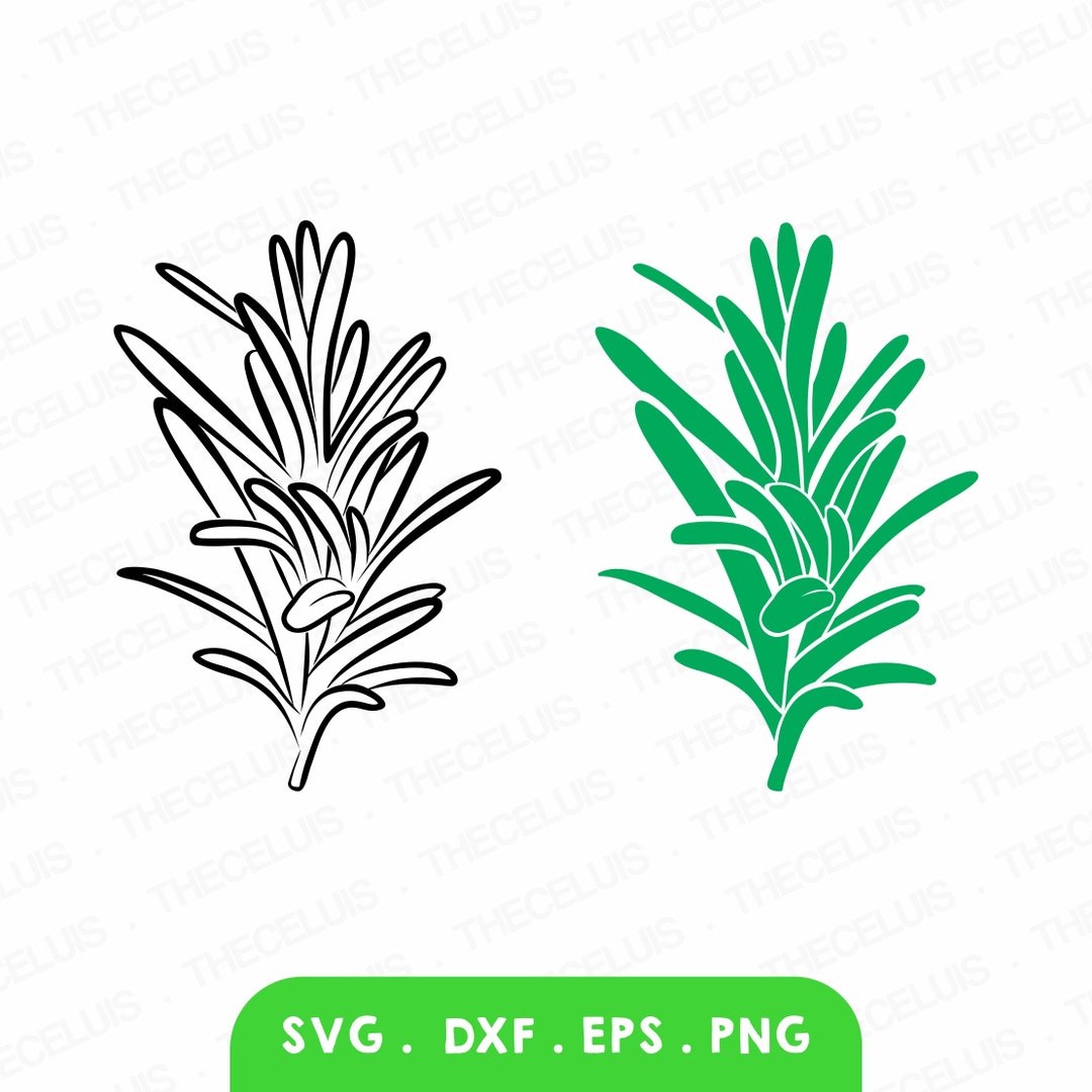 Rosemary - SVG, DXF, Eps, Png Files, Vinyl Cutting File, Plant Clipart ...