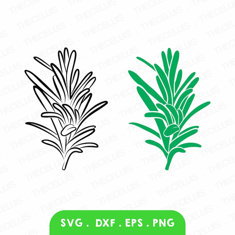Rosemary SVG PNG DXF Files: Herbs Clipart for Cricut & Silhouette ...