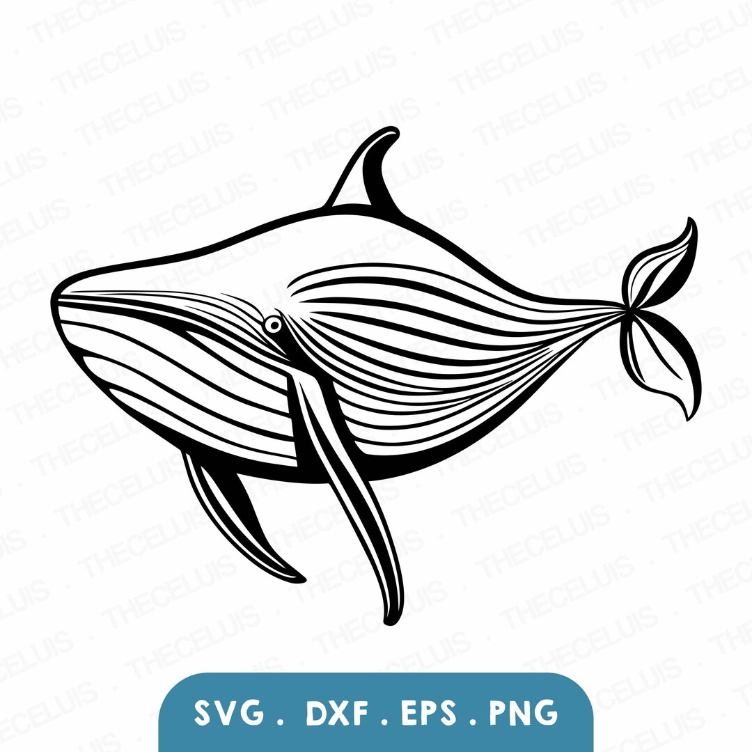 WHALE Svg, Dxf, Eps, Png Files, Vinyl Cutting File, Oceanlife Clipart ...