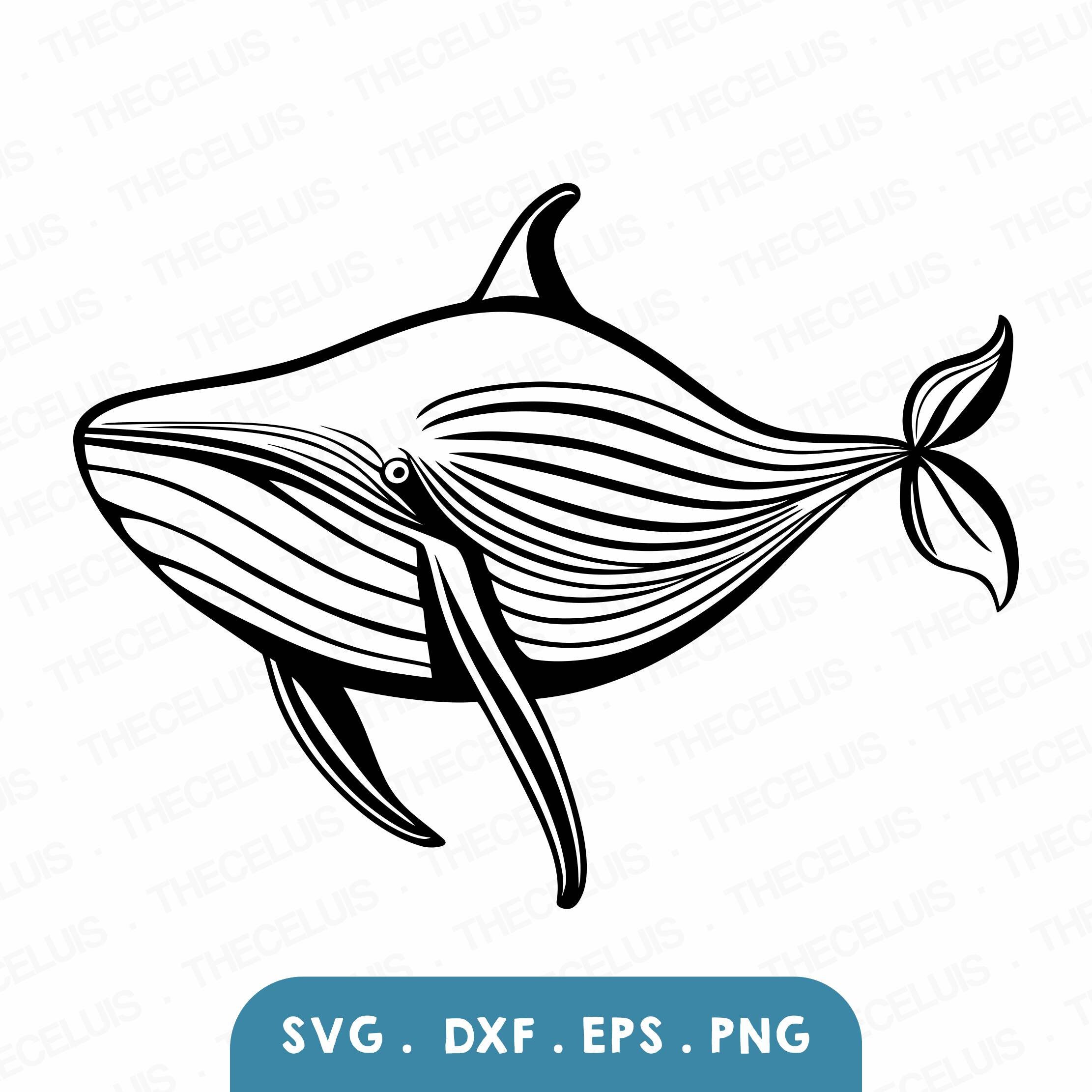 WHALE Svg, Dxf, Eps, Png Files, Vinyl Cutting File, Oceanlife Clipart ...