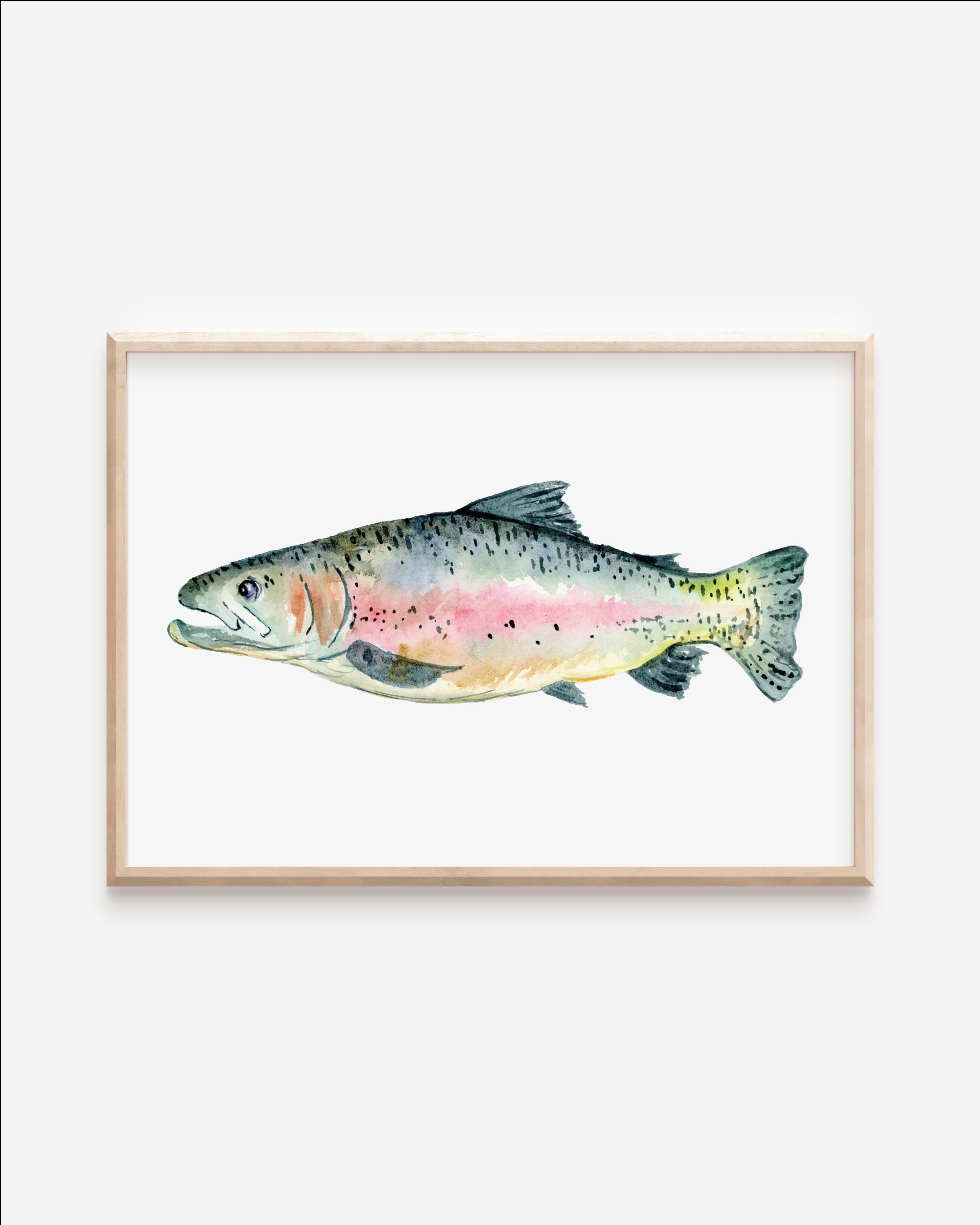 Trout Fish Art Print - Etsy