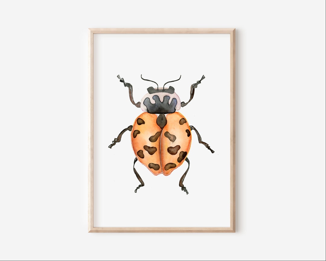 Lady Beetle Art Print - Etsy