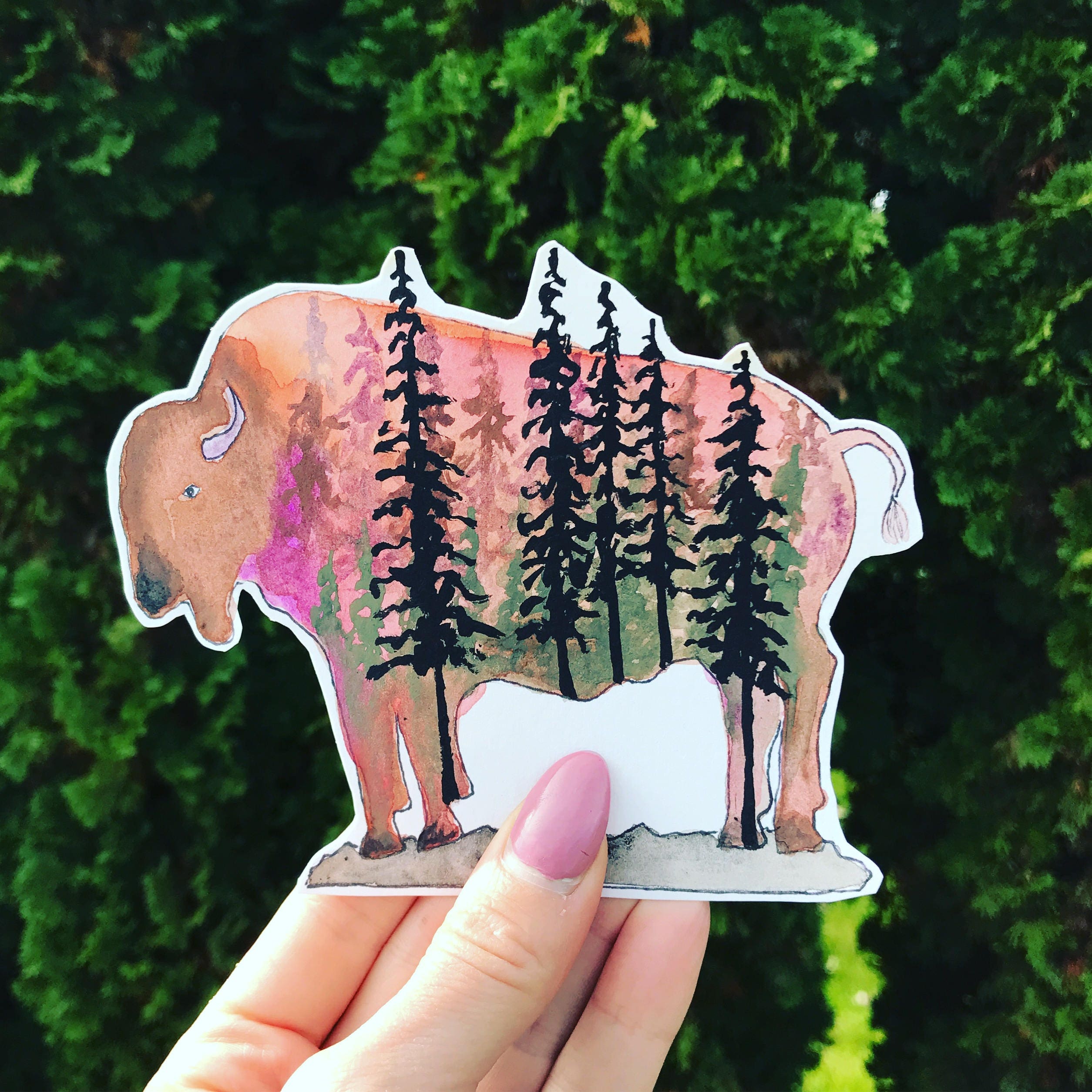 Buffalo bison decal / northwest sticker / pnw decal / vinyl | Etsy