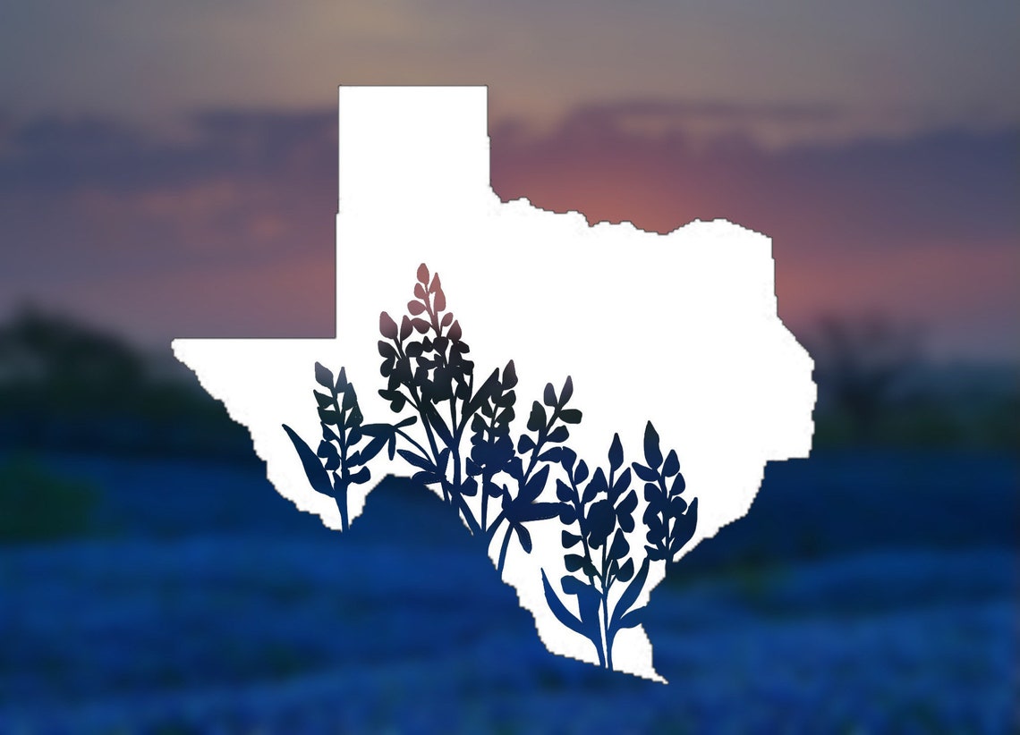 Texas State Bluebonnets Vinyl Transfer Sticker Decal | Etsy