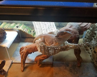 SWING STYLE Reptile Hammock - Etsy