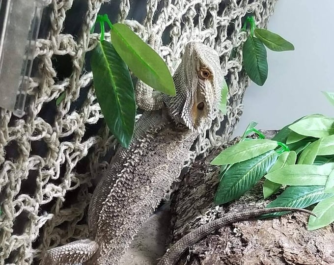 CLIMBING WALL for Reptiles - Etsy