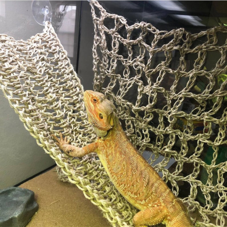 WIDE SWING STYLE/ Reptile Hammock/bearded Dragon Hammock/pet - Etsy
