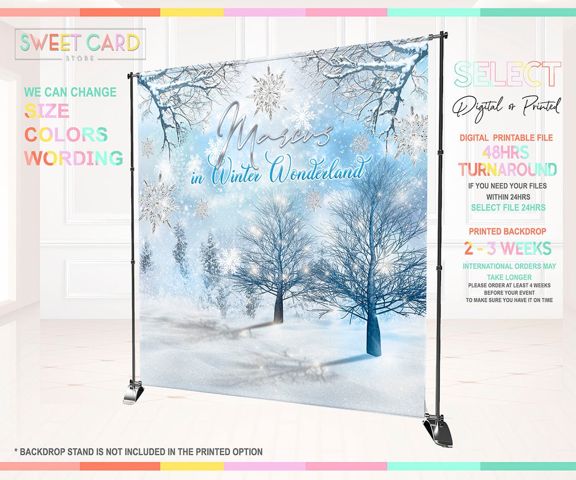 Winter Wonderland Snowflakes Party Backdrop Winter Onederland - Etsy