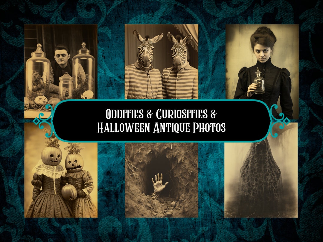 Oddities, Curiosities Halloween Ephemera, Vintage Antique Photos ...