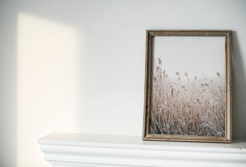 Reeds Art Print, Pampas Grass Wall Decor, Neutral Dried Grass Photo ...
