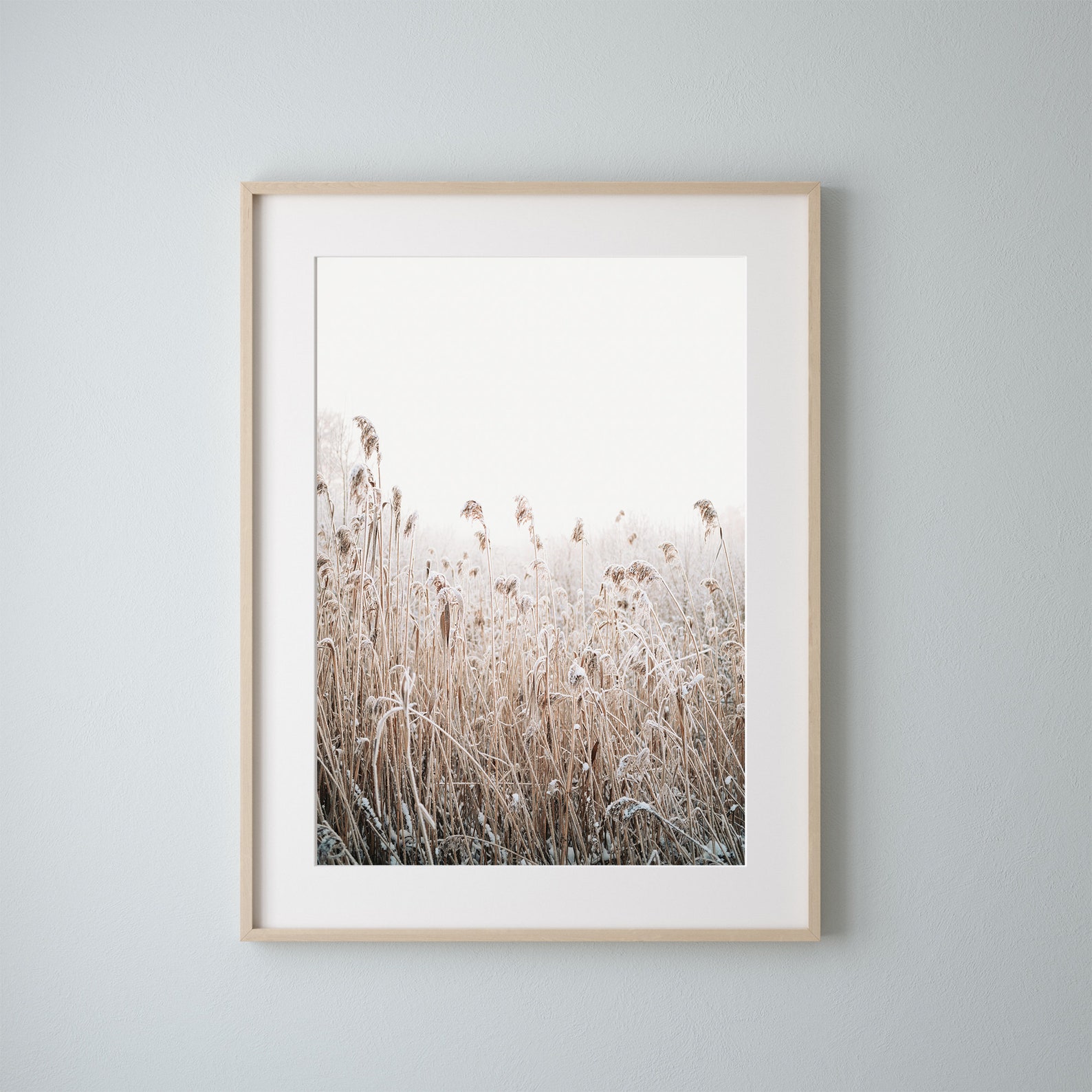 Reeds Art Print, Pampas Grass Wall Decor, Neutral Dried Grass Photo ...