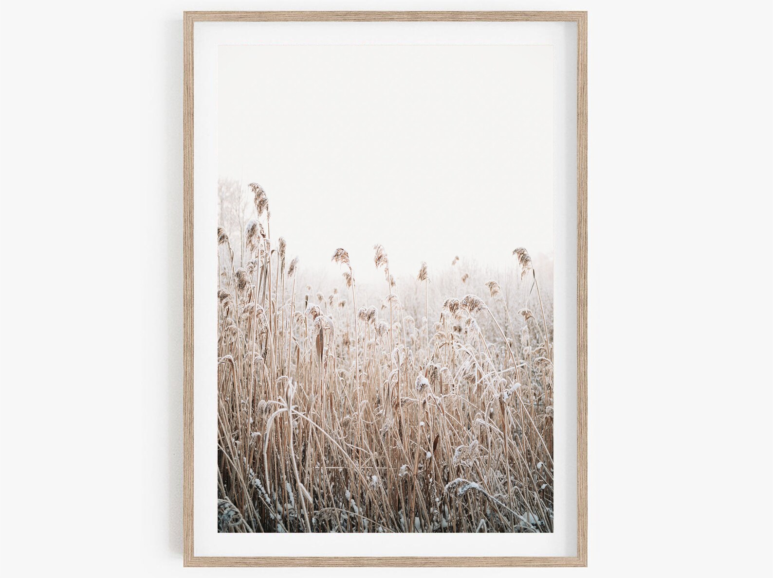 Reeds Art Print, Pampas Grass Wall Decor, Neutral Dried Grass Photo ...