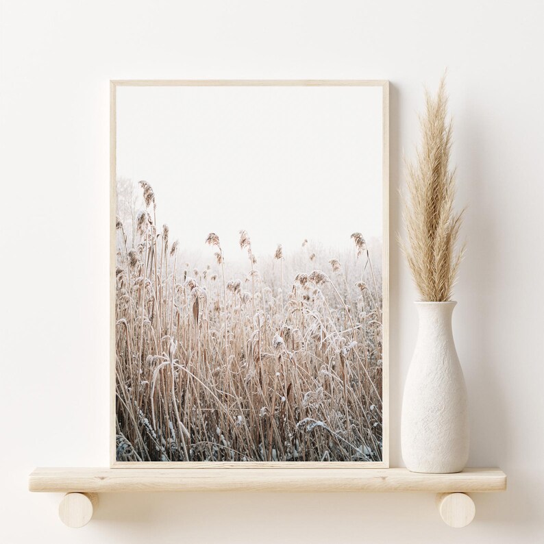 Reeds Art Print, Pampas Grass Wall Decor, Neutral Dried Grass Photo ...