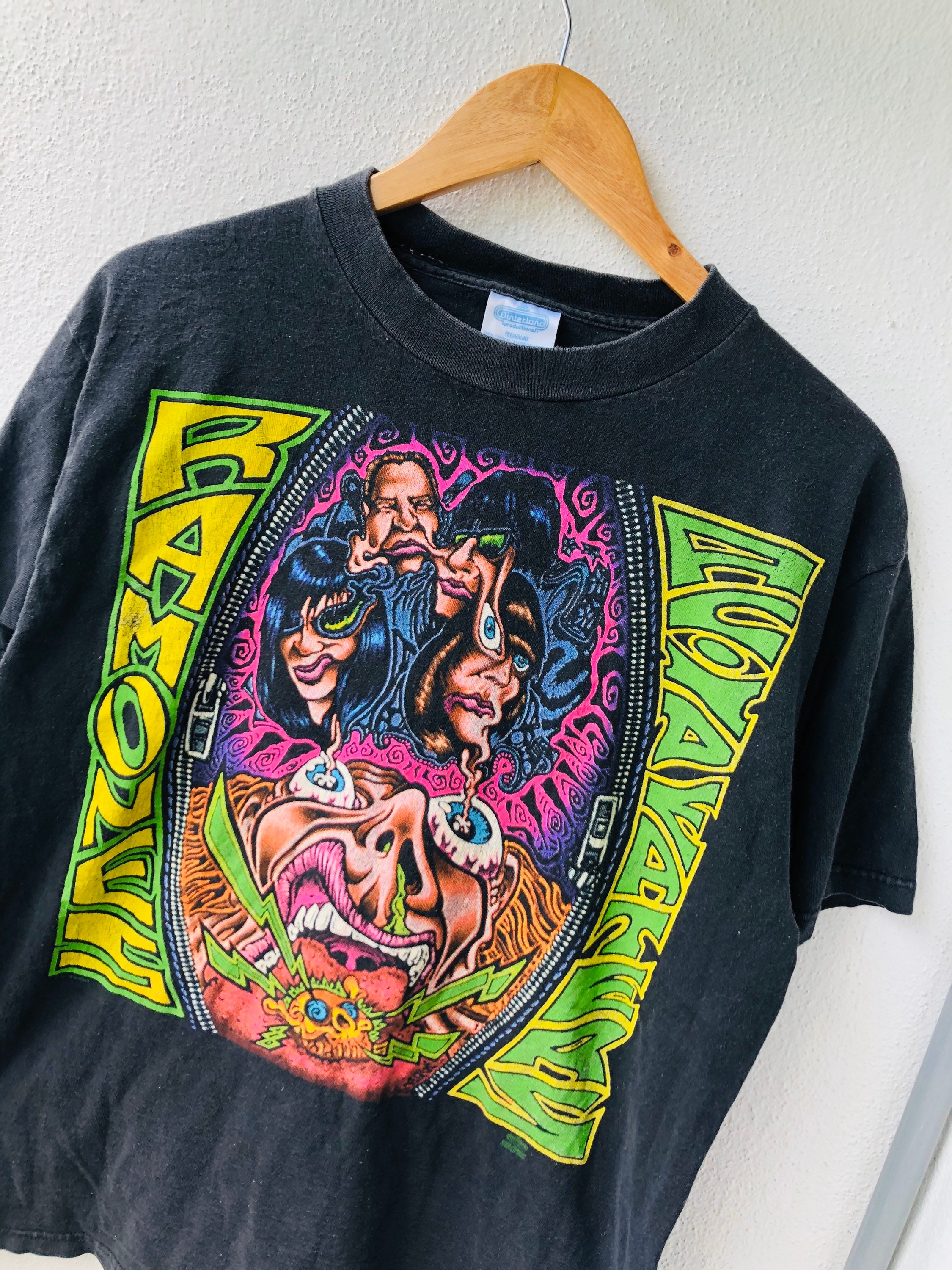 Vintage Original 90s Ramones Acid Eaters 1994 American - Etsy