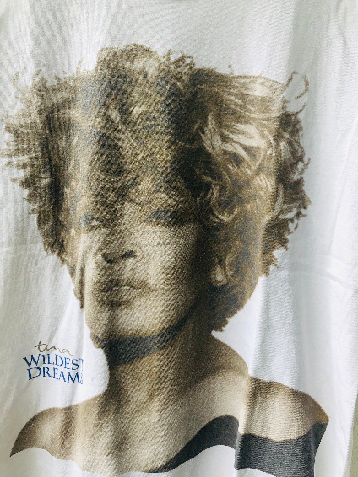 Vintage Original 90s Tina Turner Wildeest Dreams 1996 - Etsy