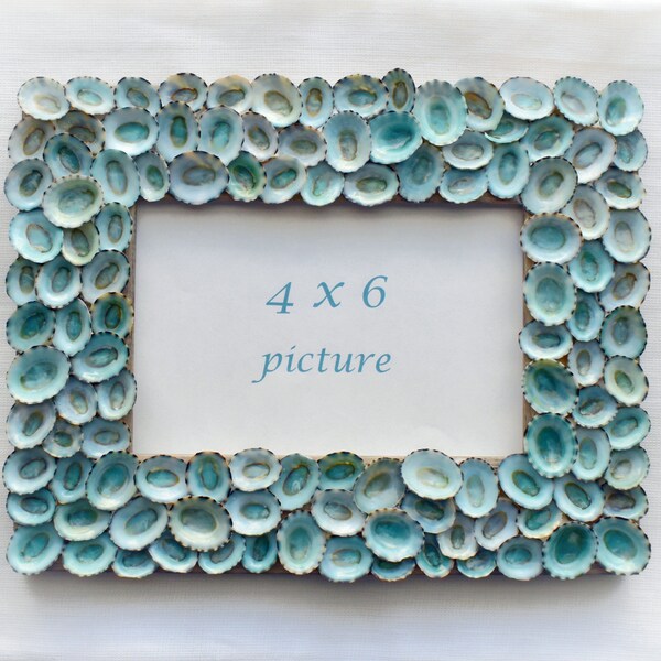 Seashell Frame - Etsy