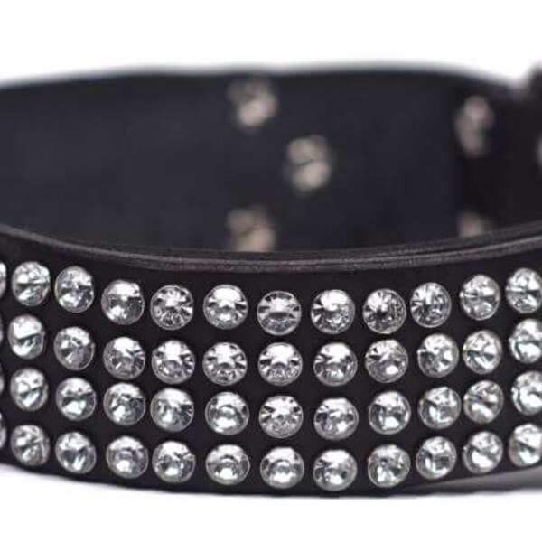 Rocker Dog Collar - Etsy