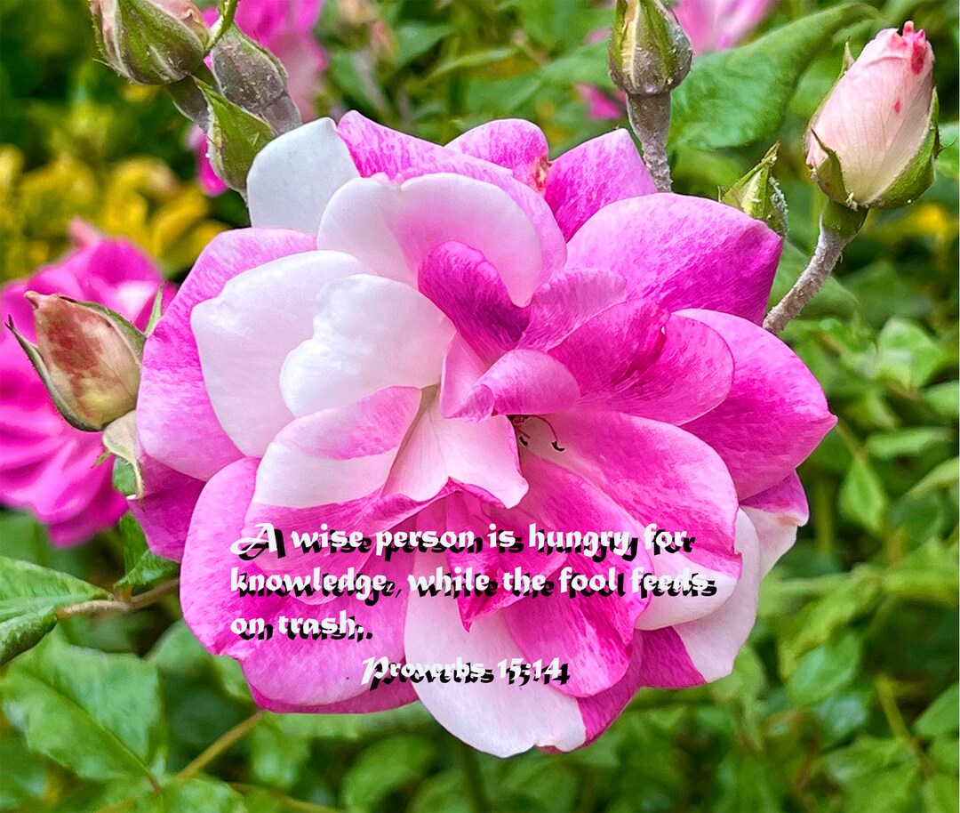 A Wise Person Bible Verse Proverbs 15 Verse 14 8X10 Etsy a-wise-person-bible-verse-proverbs-15-verse-14-8x10-etsy