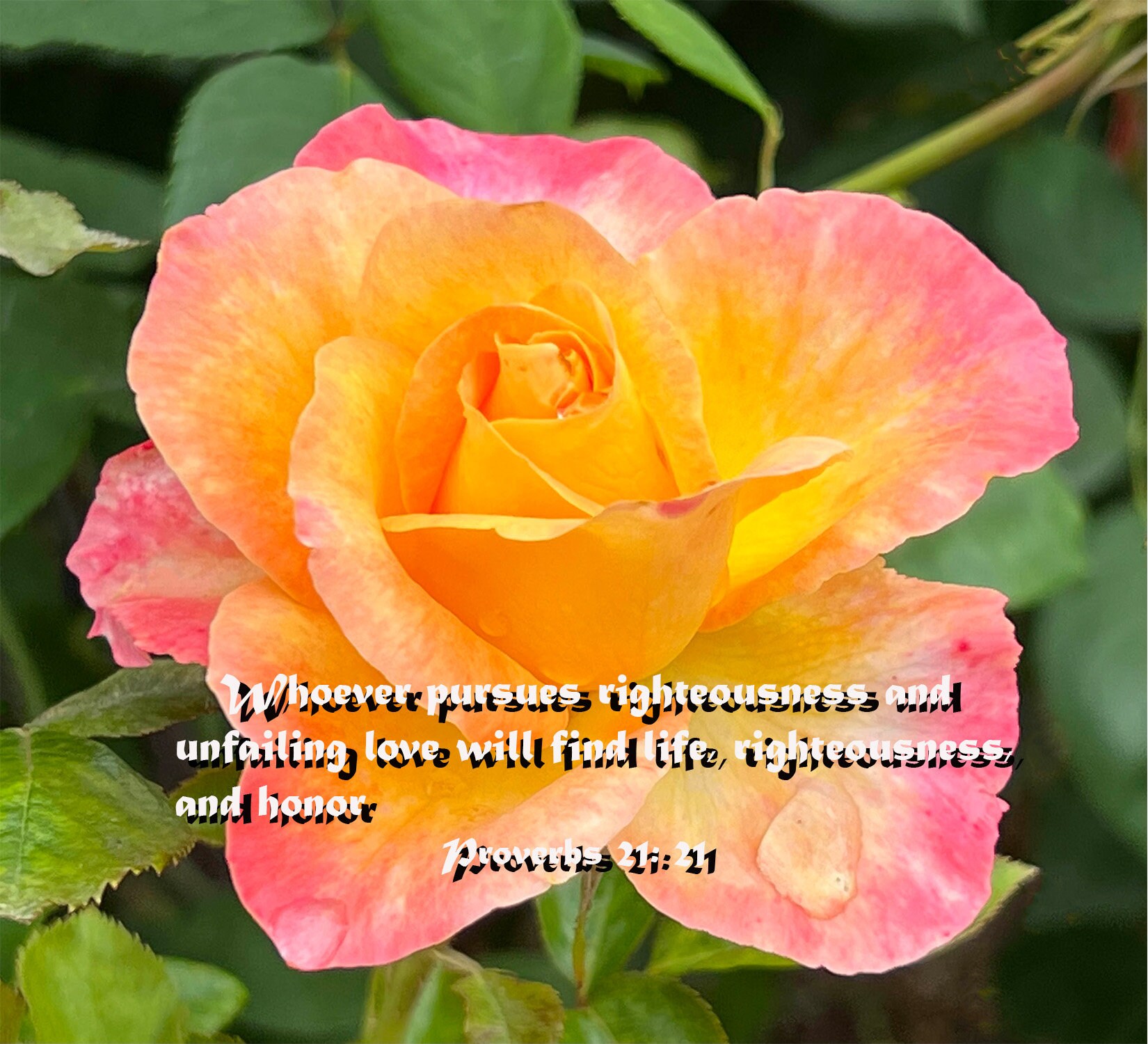 Righteousness Bible Verse Proverbs 21 Verse 21 Religious Righteousness Bible Verse Proverbs 21 Verse 21 Religious