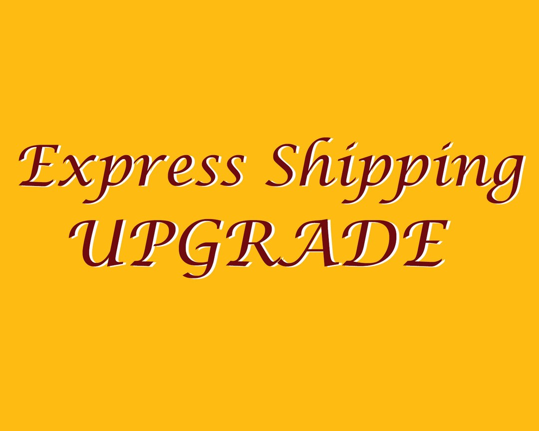 Express Shipping Upgrade, Speed up the Delivery of Your Order, One Day ...