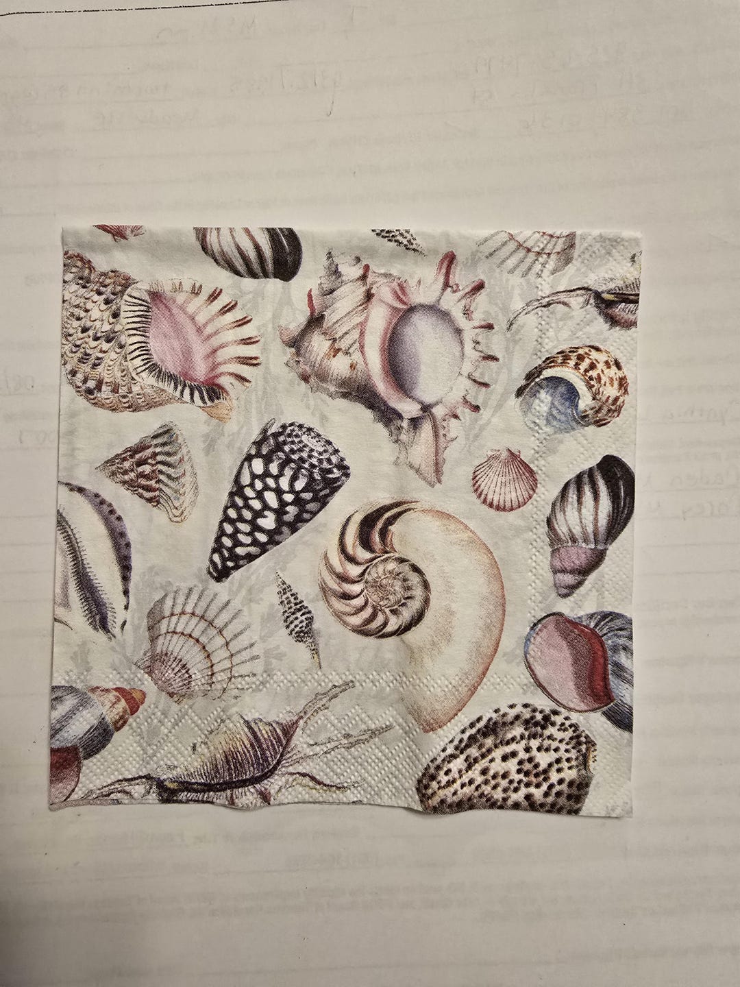 Sea Shell Paper Napkins, Decoupage Craft Supplies (2 Pack) - Etsy