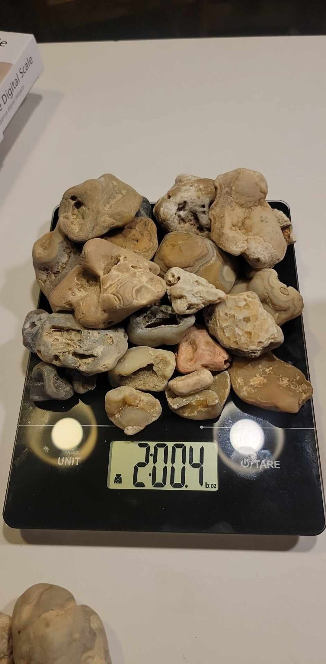 Crowley's Ridge Agates, Raw Form, 2 Lb Mixed Lot - Etsy