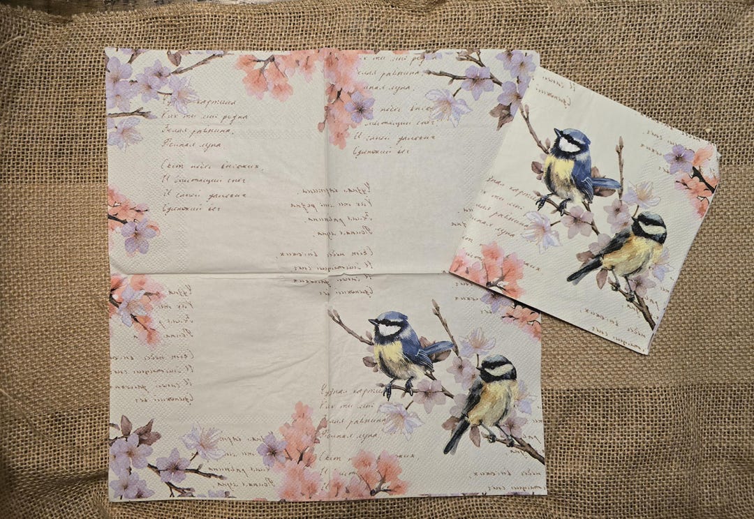 Blue Jay Bird Paper Napkins, Decoupage, Collage (2 Pack) - Etsy