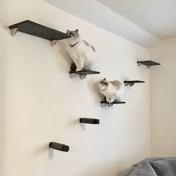 Cat Ledges For Walls