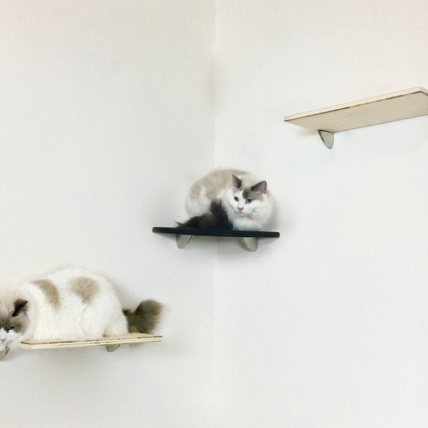 Catification - Etsy