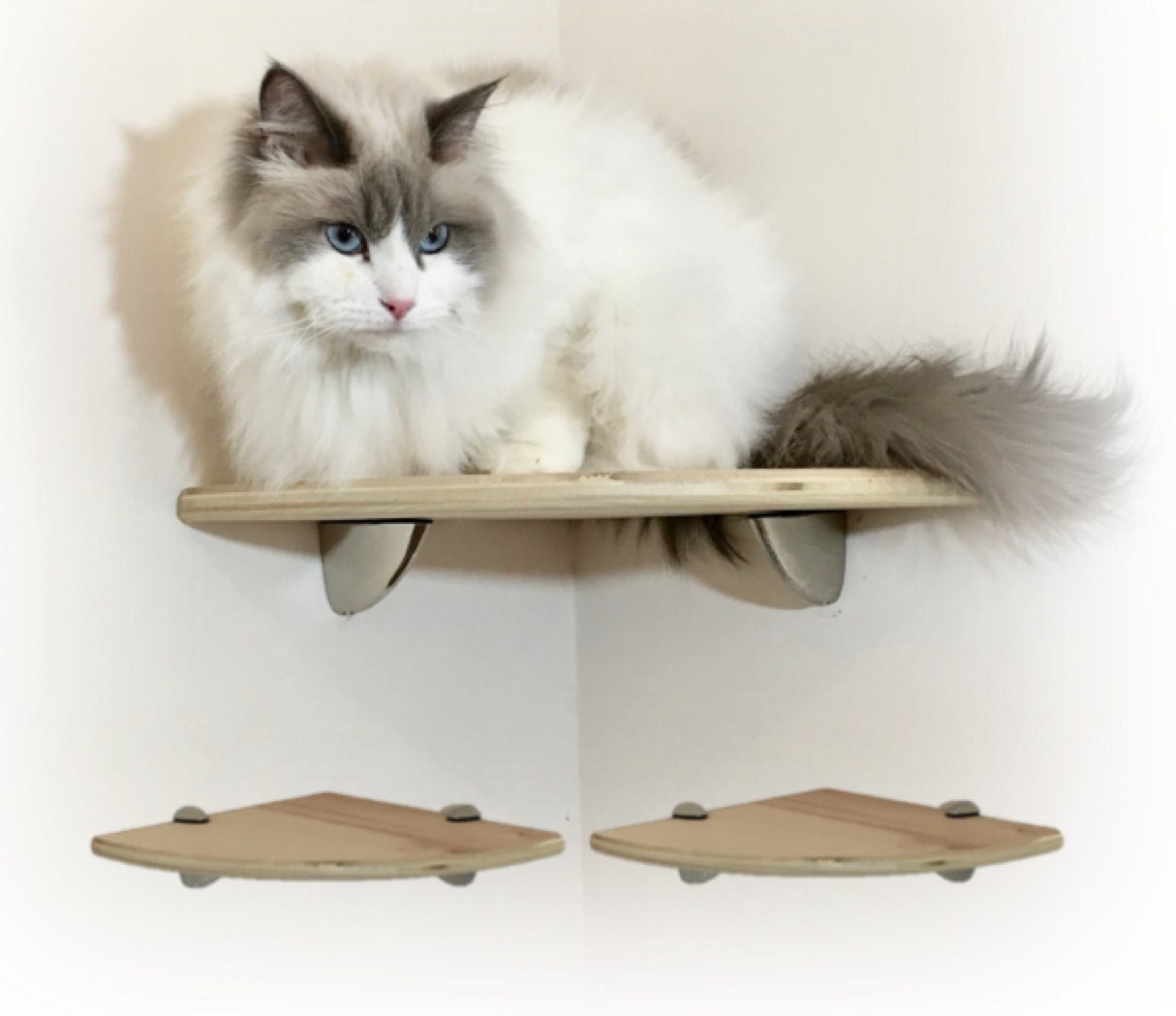 Floating Cat Wall Shelf 12x9 Semi Round Modern | Etsy