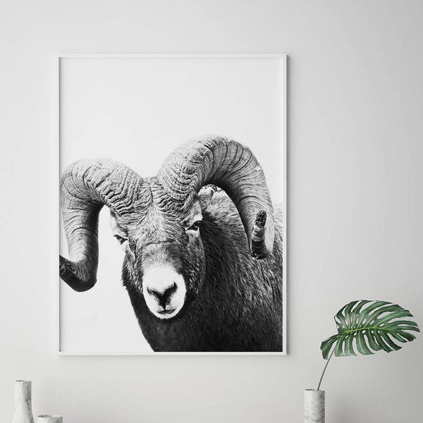 Ram Print - Etsy