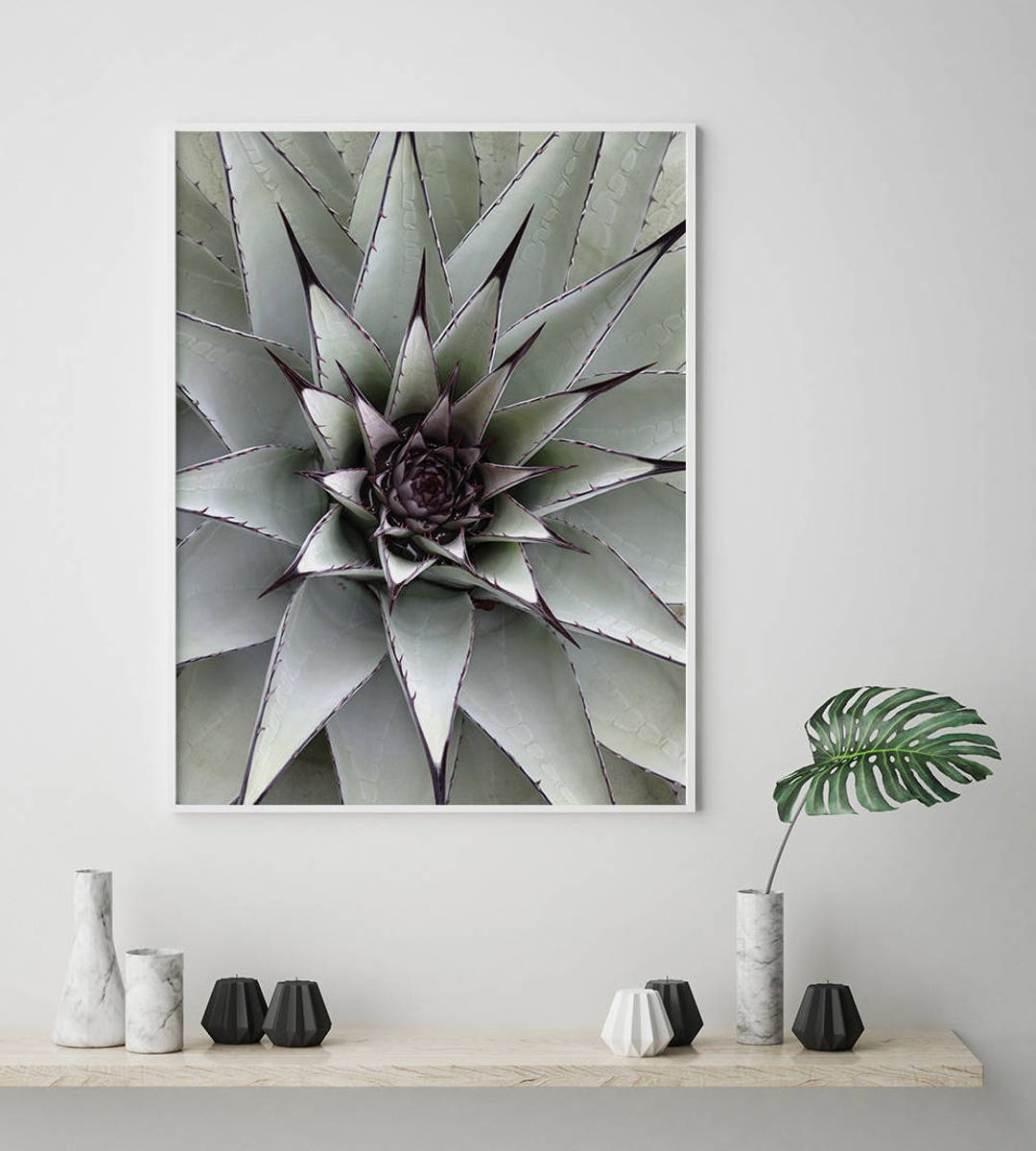 Succulent Plant Poster, Scandinavian Print, Nordic Style, Digital Print ...
