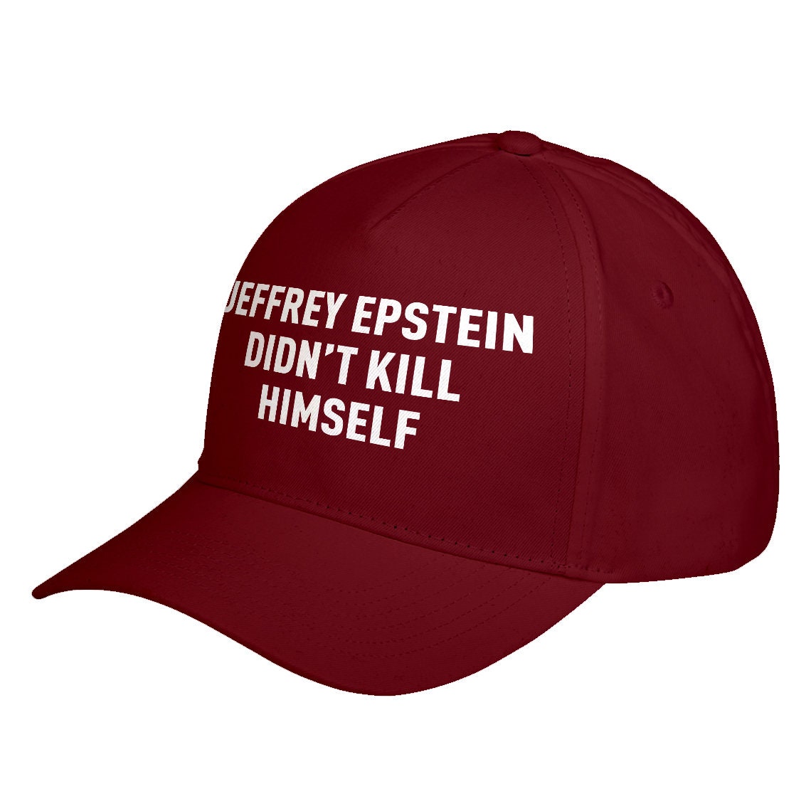 Jeffrey Epstein Didn't Kill Himself Hat | Etsy