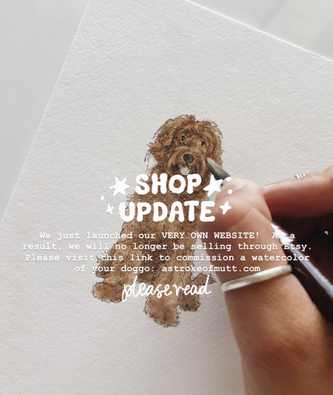 Custom Pet Illustration/simplistic Watercolor Dog Portrait/mini Dog ...