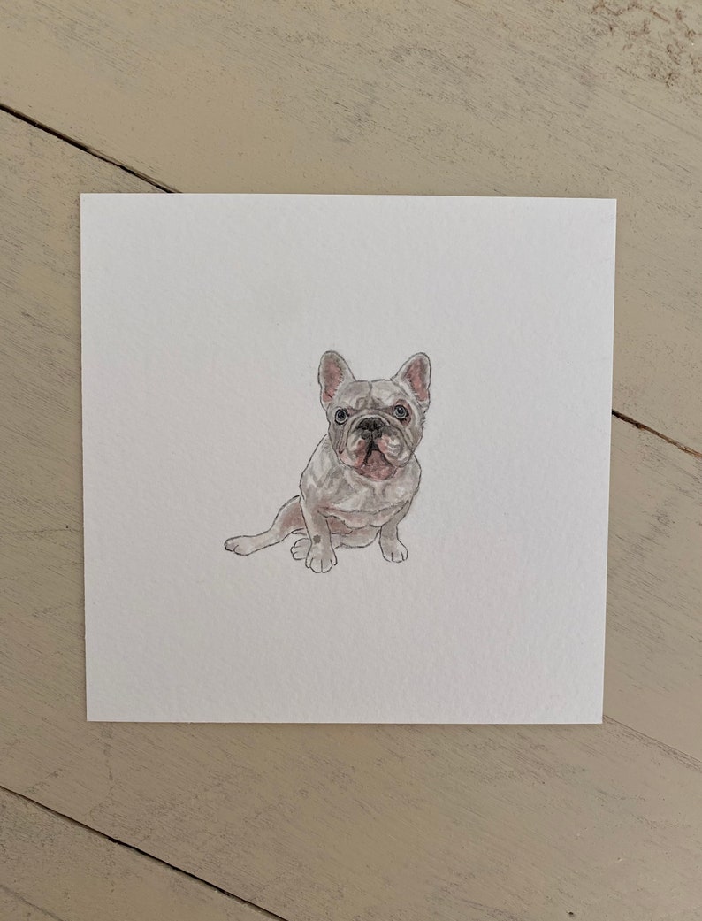 Custom Pet Illustration/simplistic Watercolor Dog - Etsy