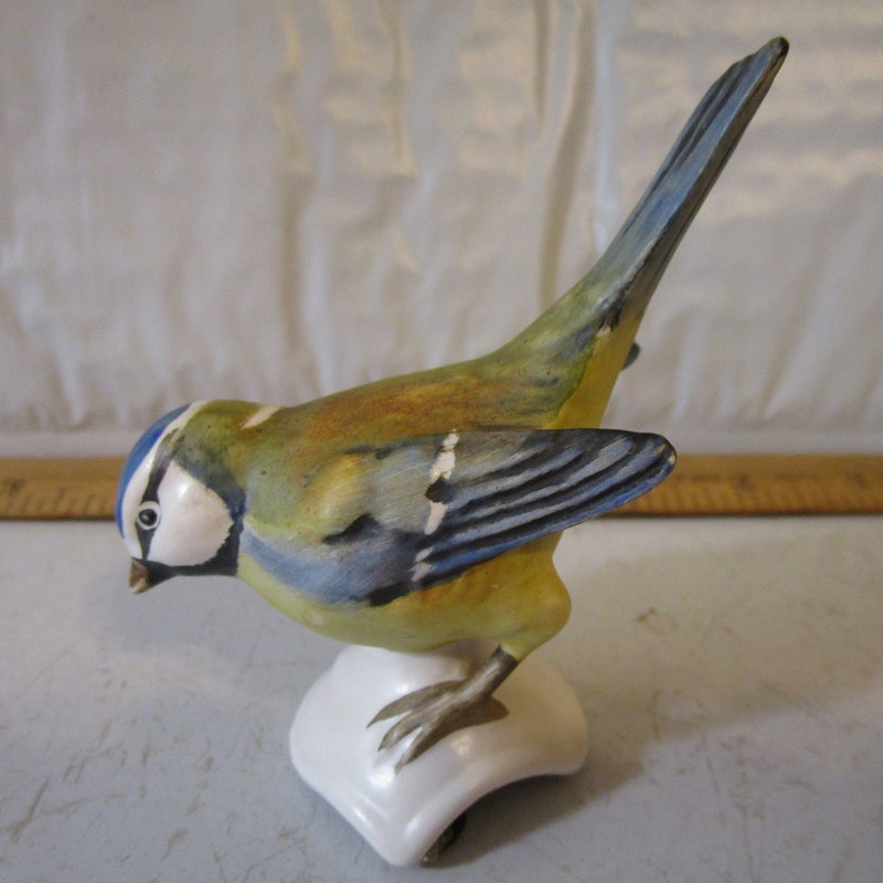 Blue Titmouse - Etsy
