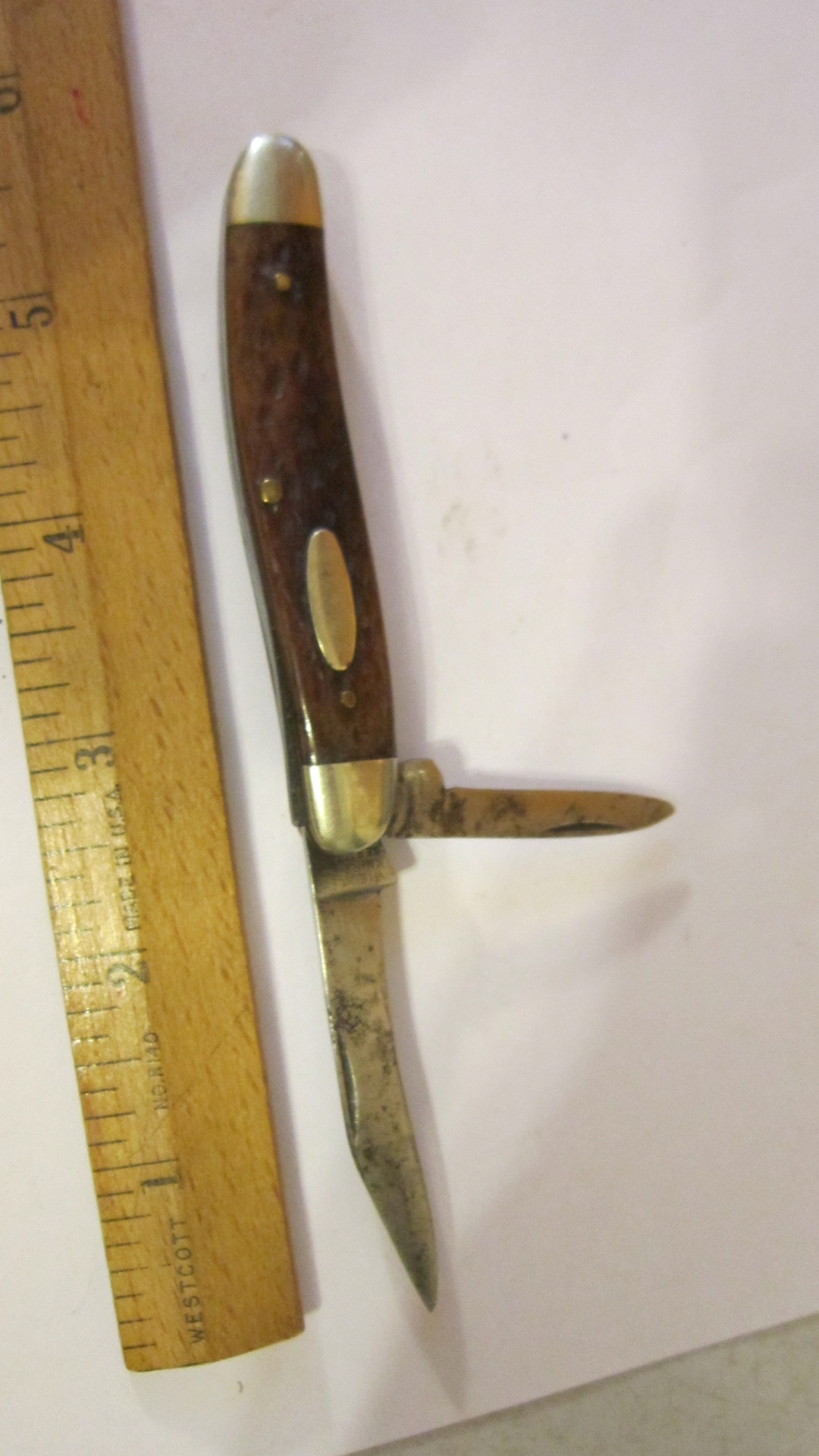 Sabre Solingen 105, American Knife Co. Germany Jack Knife With Bone ...