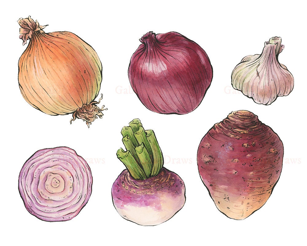 Digital Download- Root Vegetables // Watercolor Clip Art // Hand ...