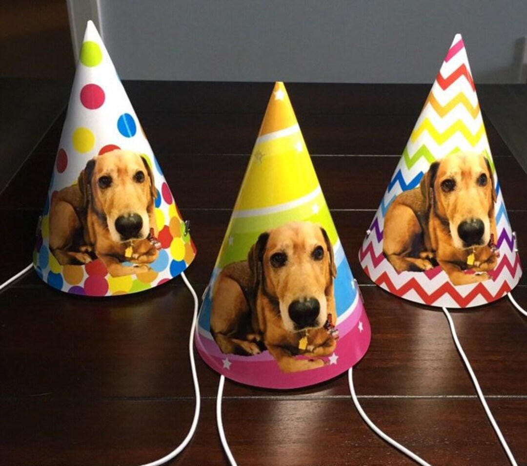 Photo Party Hats With Your Dog's Cat's Picture on Them, Personalized ...