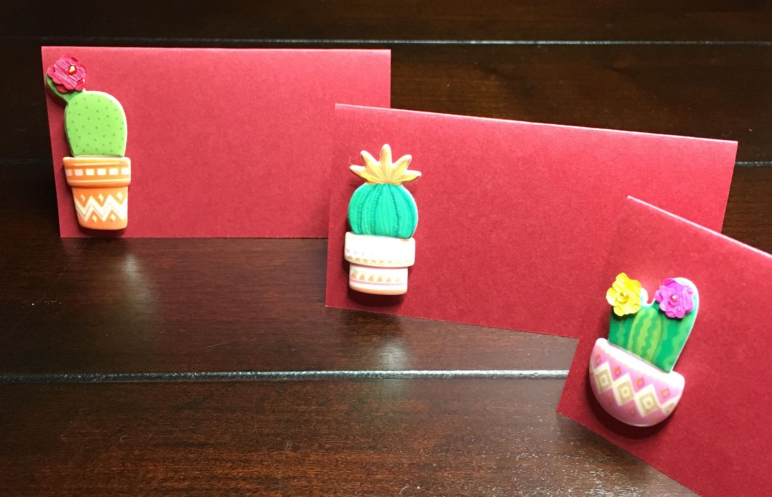 Cactus Place Cards, Succulent Placecards, Succulents Seat Cards, Name ...