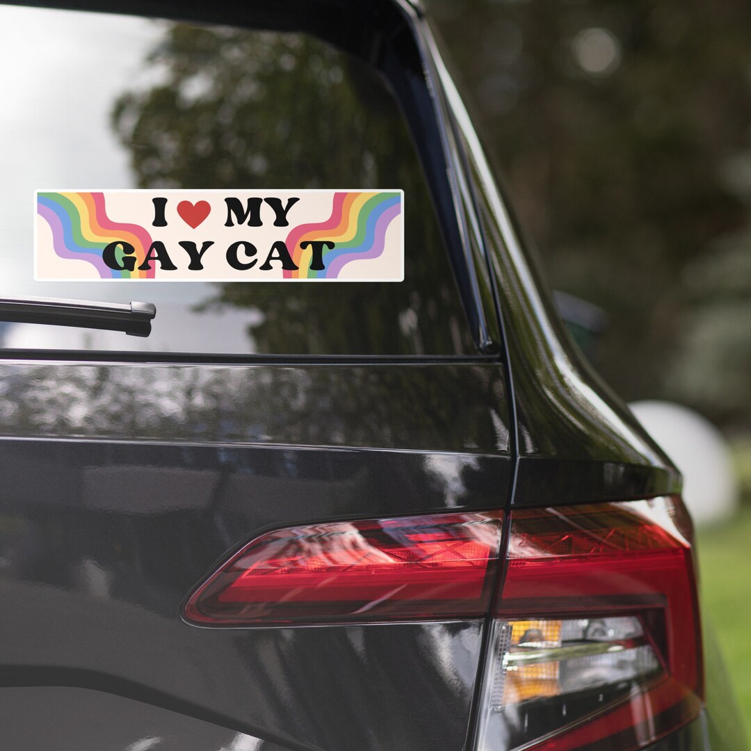I Love My Gay Cat Bumper Sticker Funny Bumper Sticker - Etsy