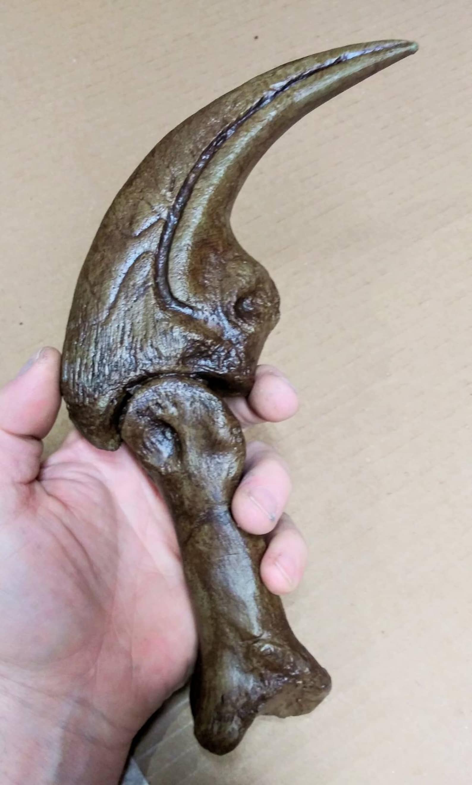 Allosaurus Claw - Etsy
