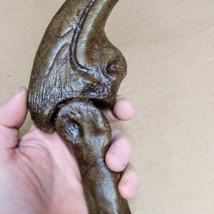 Allosaurus Claw - Etsy