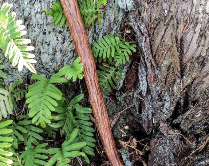 Yoda's Cane ( Gimer Stick ) - Etsy