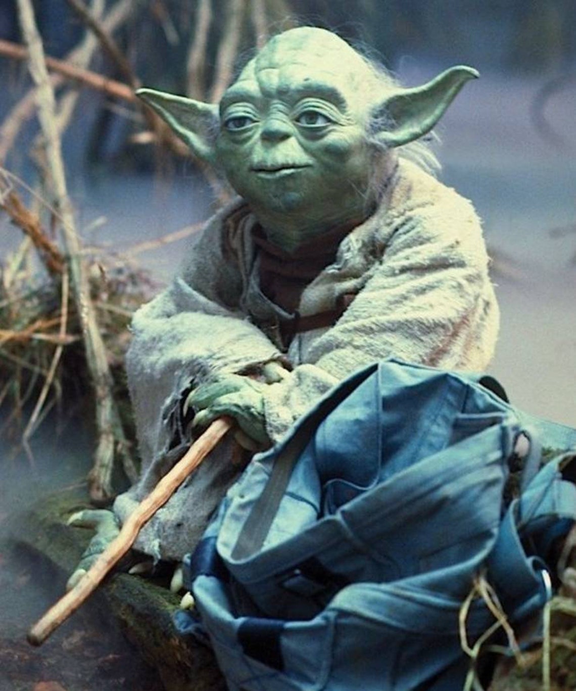 Yoda's Cane Gimer Stick - Etsy