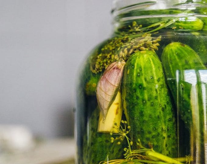 Dill Pickles Fragrance Oil for Candles, Soap, Diffusers, Wax Tarts ...