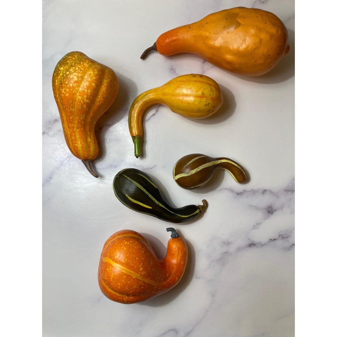 Set of 6 Assorted Decorative Gourds Autumn Fall Harvest Decor Pumpkins ...