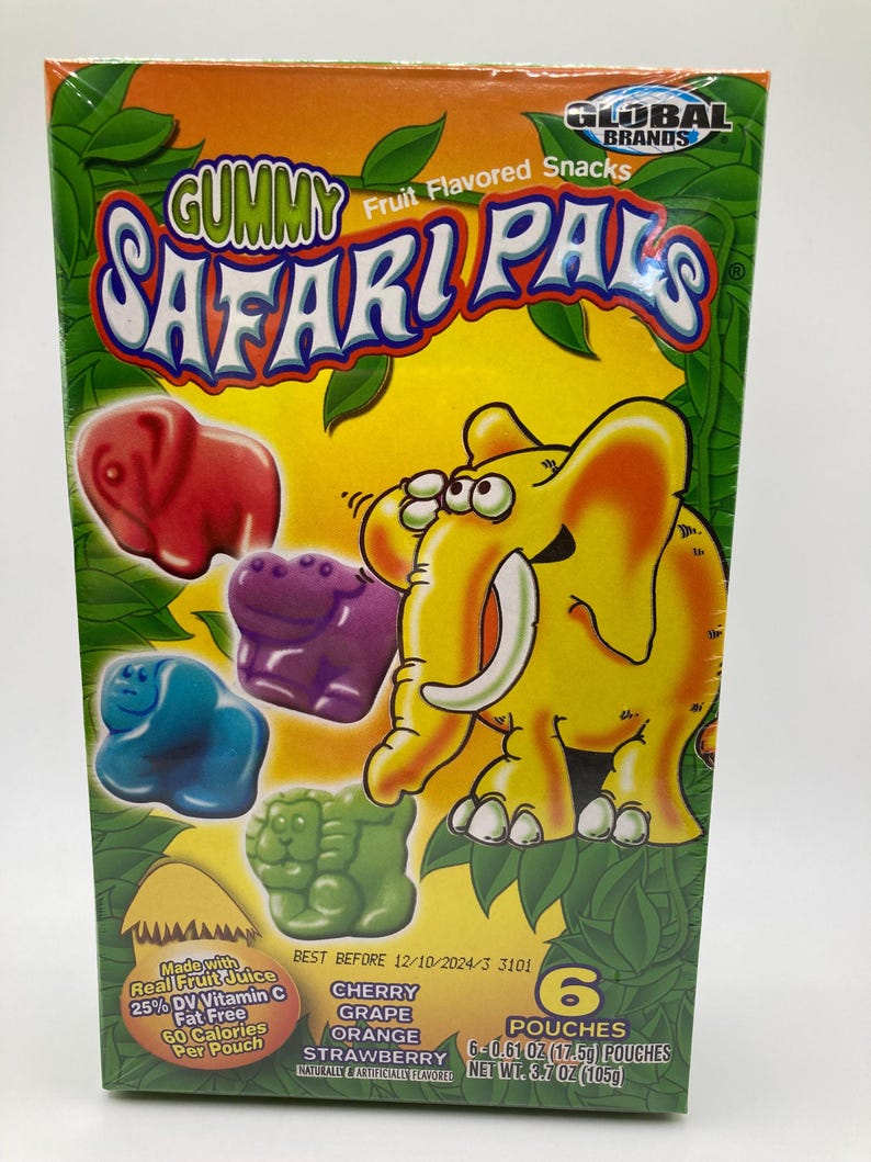 Gummy Safari Pals Fruit Flavored Snacks - Etsy