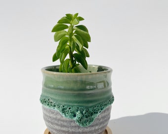 Minimalist Succulent Pot | Etsy